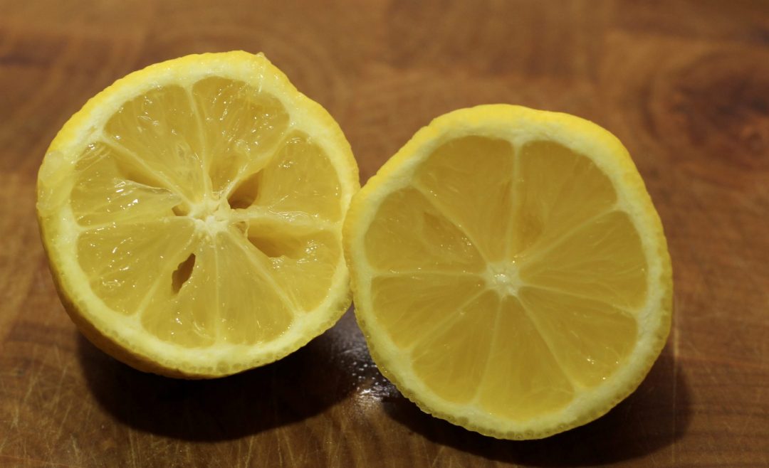 How to Make Lemon Pulp – Springhouse Turtle