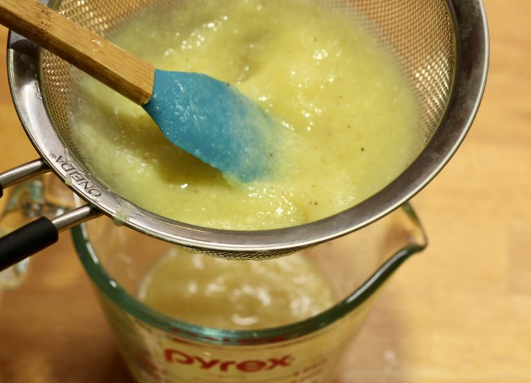 How to Make Lemon Pulp – Springhouse Turtle