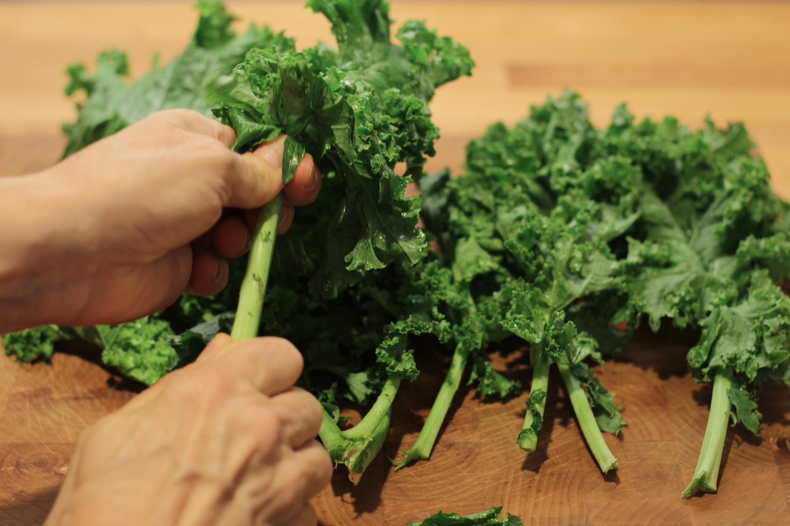 The Easiest Way to Remove Stems from Kale – Springhouse Turtle