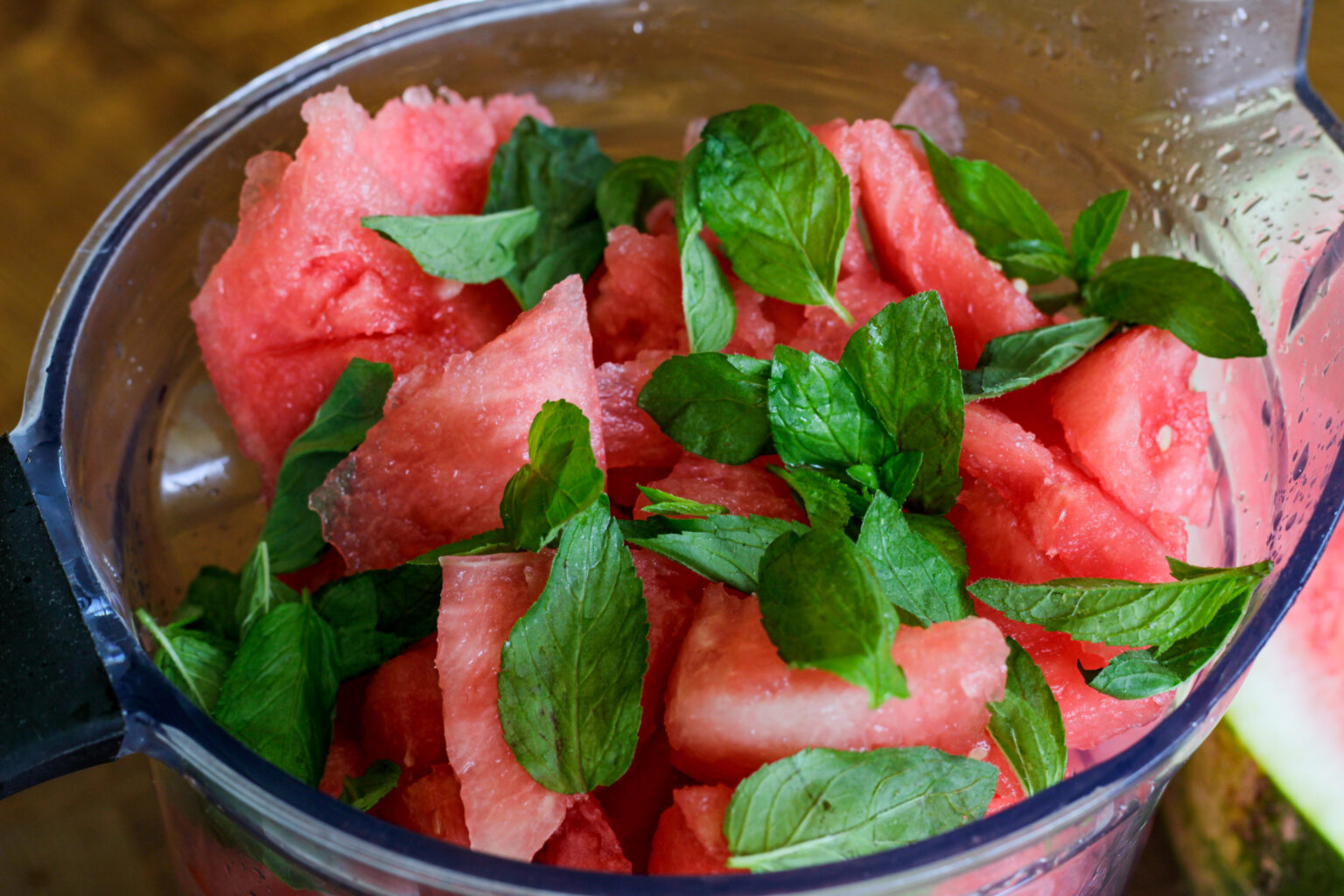 Watermelon Ice – Springhouse Turtle